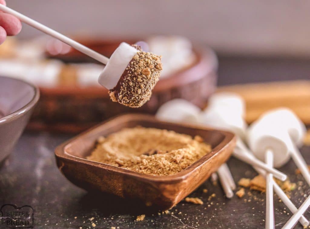S'MORES ON A STICK - Butter with a Side of Bread