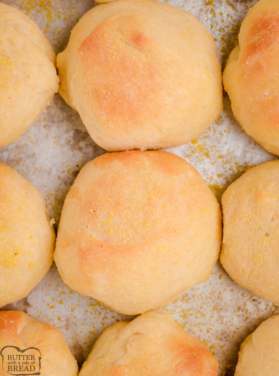 SOFT CORNMEAL DINNER ROLLS - Butter with a Side of Bread