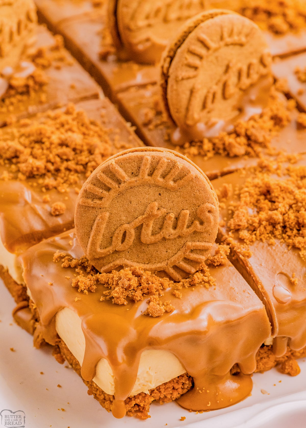 No-Bake Biscoff Cheesecake Bars - Butter with a Side of Bread